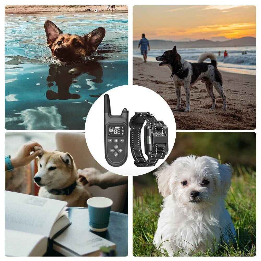 Remote Dog Training Collar - Shop Now(50% off)