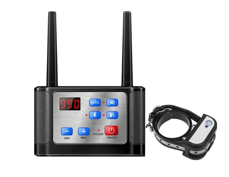 Top 5 Best Wireless Dog Fences Of 2023